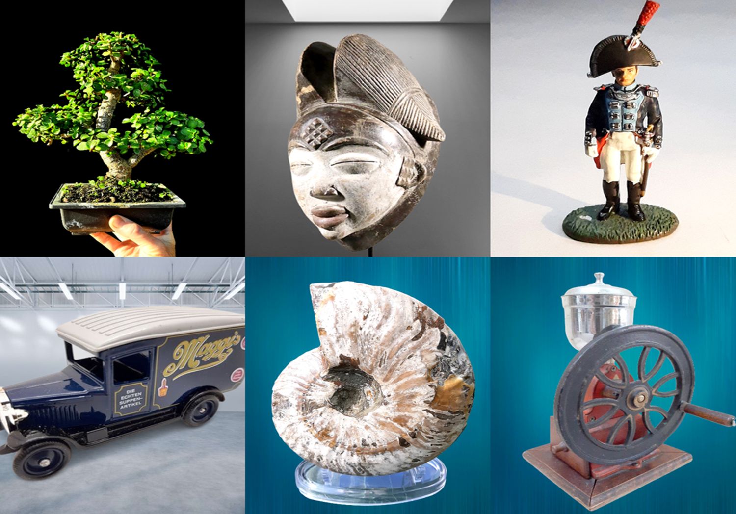 Bidspirit - NeverLand Collectibles